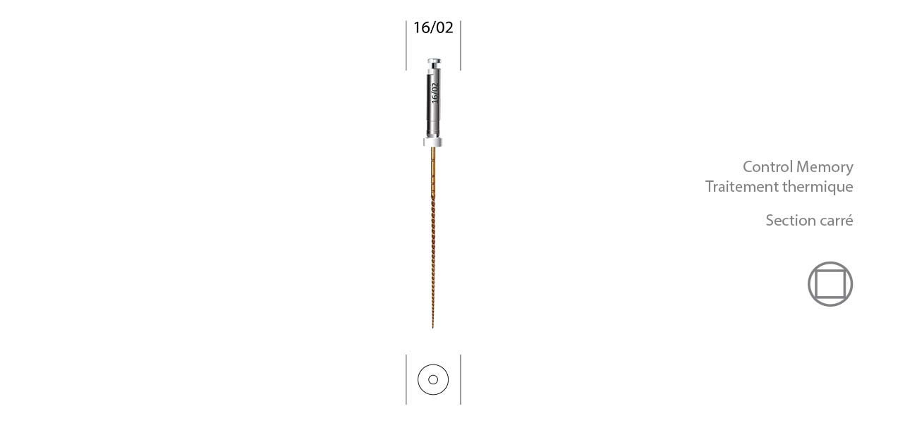 PATH FILE – EndoArt