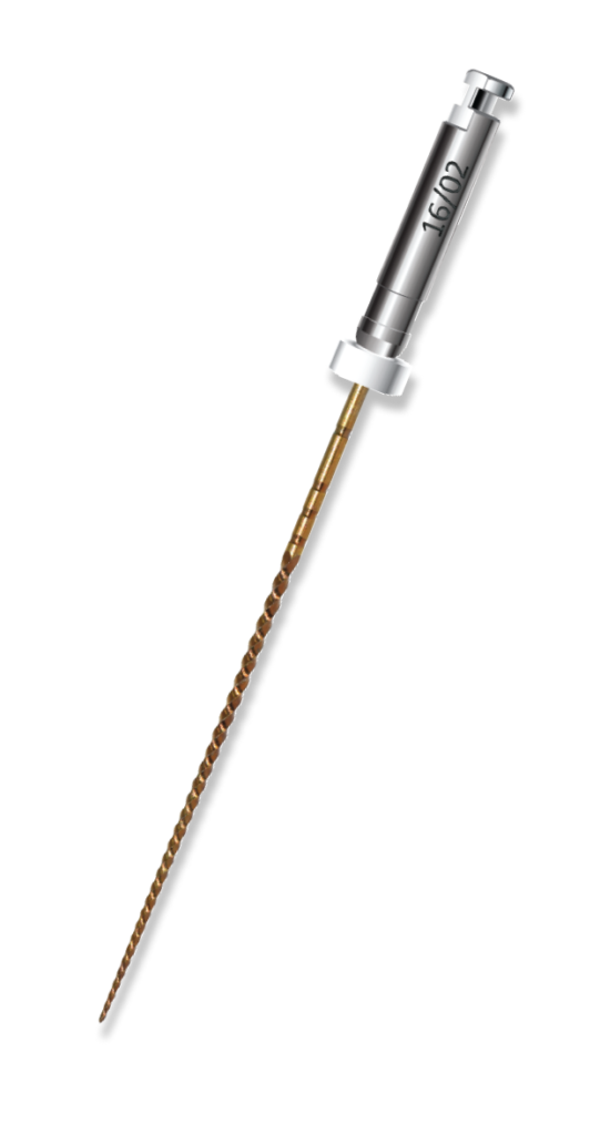 Path file – EndoArt